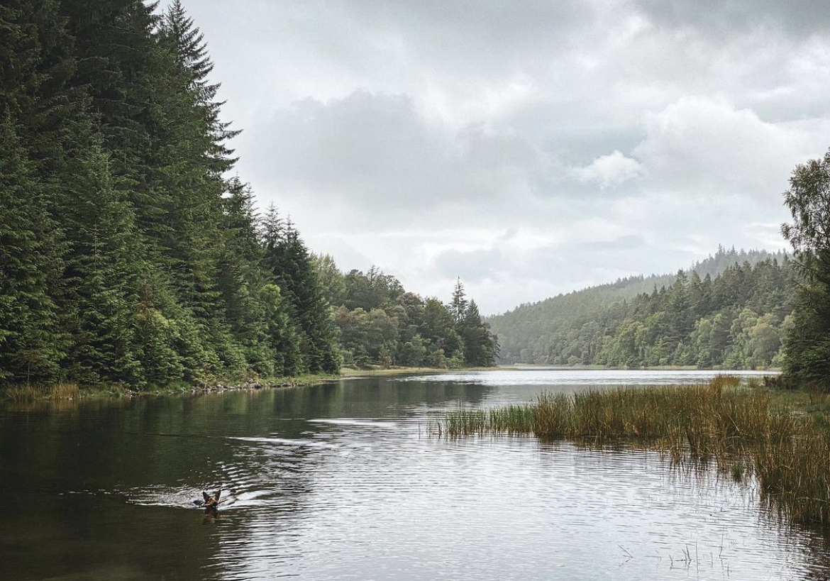 Gwydir Mawr a Bach/Marin Trail: A Complete Guide - Conwy Guide